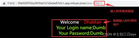 Sql注入分类，一看你就明白了。sql注入点sql注入类型sql注入有几种sql注入点分类 Csdn博客