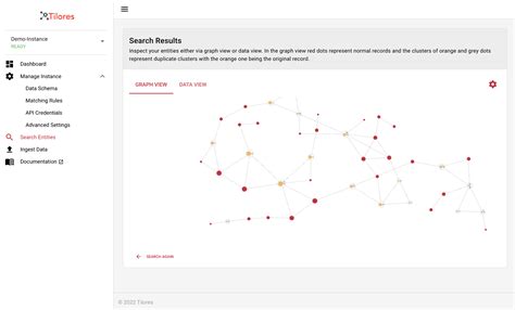 Entity Resolution Software Transform Your Data Usability Tilores