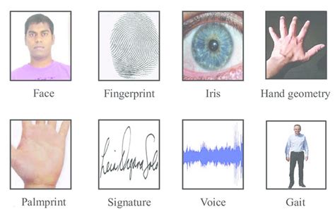 Biometric System Architecture Getting Down The Core