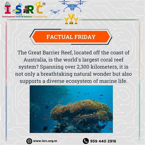 Neha Mehnaz Awab Fakih On Linkedin Isrc Stemfacts