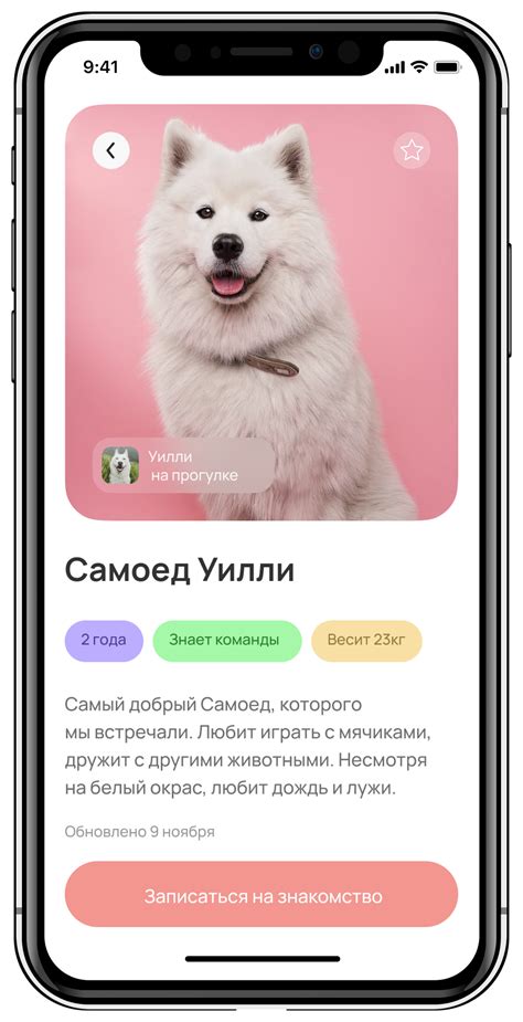 Design Web Design Mobile Ui Ux On Behance