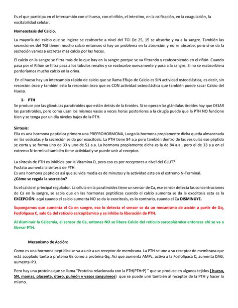 Clases Apuntes 3 Warning Tt Undefined Function 32 Warning Tt