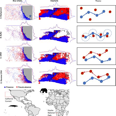 Presence Data Blue Points And Pseudo Absence Data Red Points For