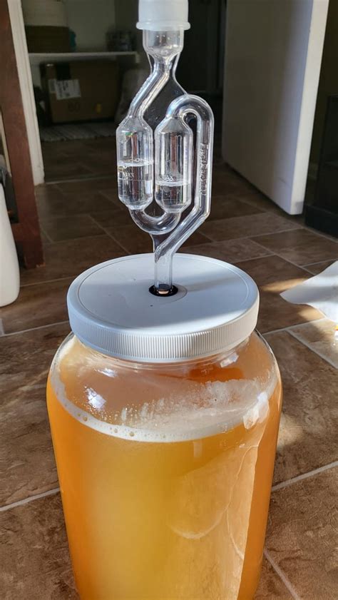 First Time Using This Style Jar Airlock R Mead