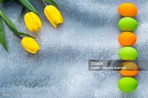 텍스트 공간이 있는 파샬 모형 회색 콘크리트 배경에 화려한 계란과 노란색 튤립 축제 부활절 프레임입니다 템플릿 창조적 인 디자인패턴 공란에 대한 스톡 사진 및 기타 이미지