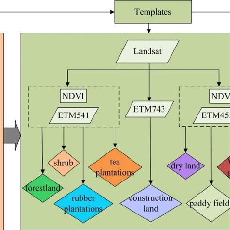 Image Processing Procedure Download Scientific Diagram