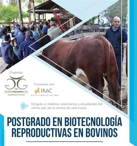 Postgrado En Biotecnologías Reproductivas En Bovinos