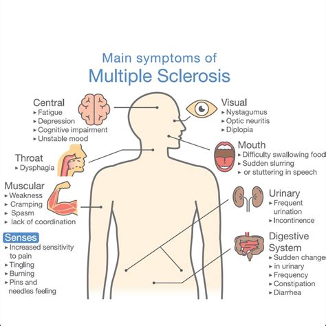 Multiple Sclerosis Causes Risk Factors Symptoms Treatment