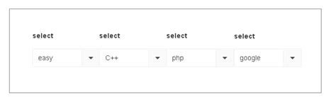 Html How To Add Border To The Select Tags Stack Overflow