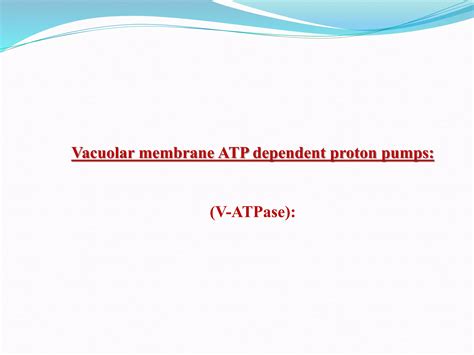 Calcium Atpase Pumps Pptx