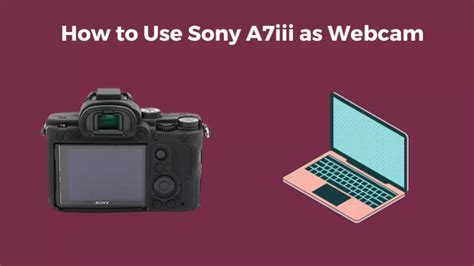 How To Check Shutter Count On Sony A Iii Methods Camera Clickz