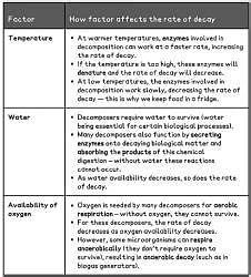 What Is Decomposition Biology For Grade PDF Download