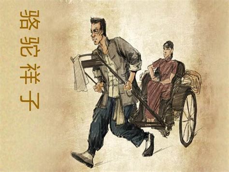 每周一本好书老鼠人的阅读计划 哔哩哔哩
