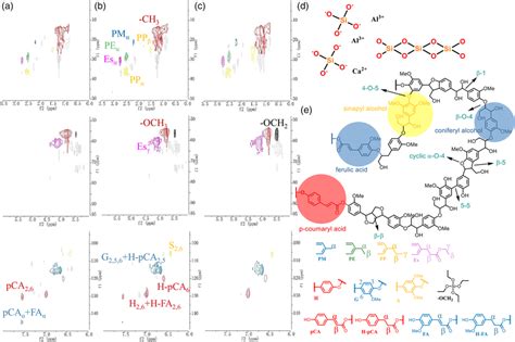 The 2d Hsqc Nmr Spectra Of Liquid Products Obtained From Csel