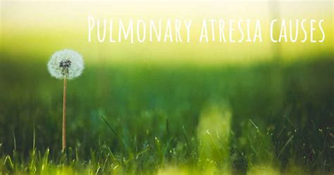 Which Are The Causes Of Pulmonary Atresia
