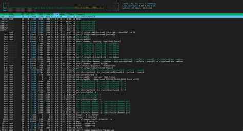 Localizar Arquivos No Linux Usando Mlocate Coffops