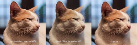 Adobe Photoshop If I Rasterize A Vector Then Make It A Vector Again Will Quality Be Lost