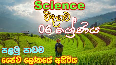 ජෛව ලෝකයේ අසිරිය 6 වසර 1 පාඩම Grade 6 Science Lesson 1 Sinhala Medium Science Grade 6