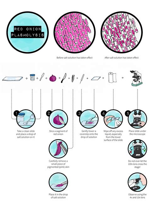 Scientific Experiment Documentation Illustration On Behance