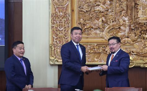 Нохой муурыг хүүхдийн тоглоомын болон цэцэрлэгийн талбайд салхилуулахгүй байх хуулийн төсөл