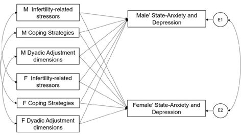 Conceptual Framework Actor And Partner Effects Of Infertility Related