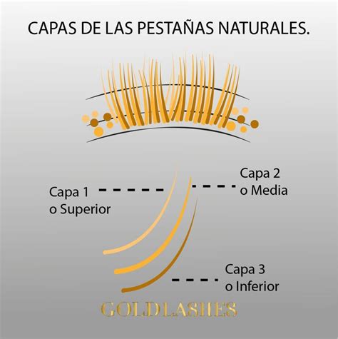 LINEA PERFECTA - Gold Store