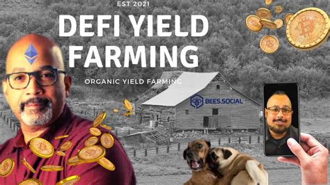 What Exactly Is Web3 Beginners Guide To Blockchain And The