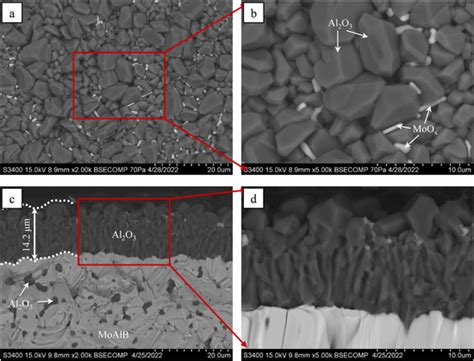 Surface Microstructures Of Moalb Ceramic Sample After Isothermal Download Scientific Diagram