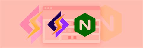 What Is LiteSpeed And Nginx Server Web Hosting Pakistan