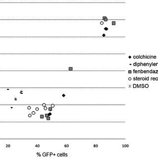 Small Molecule Enhancers Of Exon Skipping Also Increase The Mitotic Download Scientific Diagram