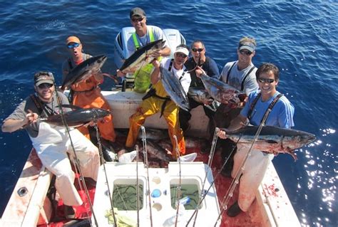 Dial In Your Bait Tank