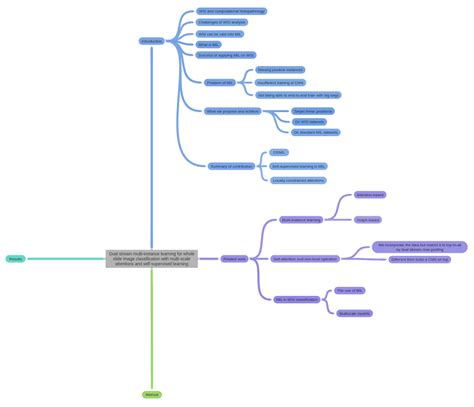 Dual Stream Multi Instance Learning For Whole Slide Image Classification
