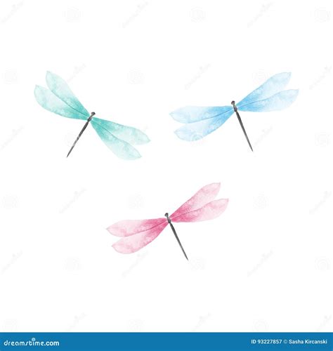 Dragonfly Stock Vector Illustration Of Animal Decor 93227857