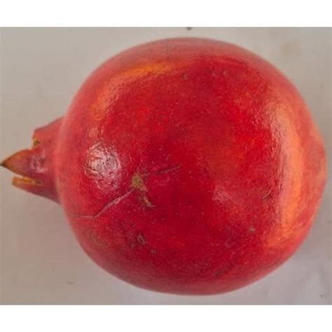 Custom Workflow 2 Object Detection Object Detection Dataset And Pre Trained Model By Vmt