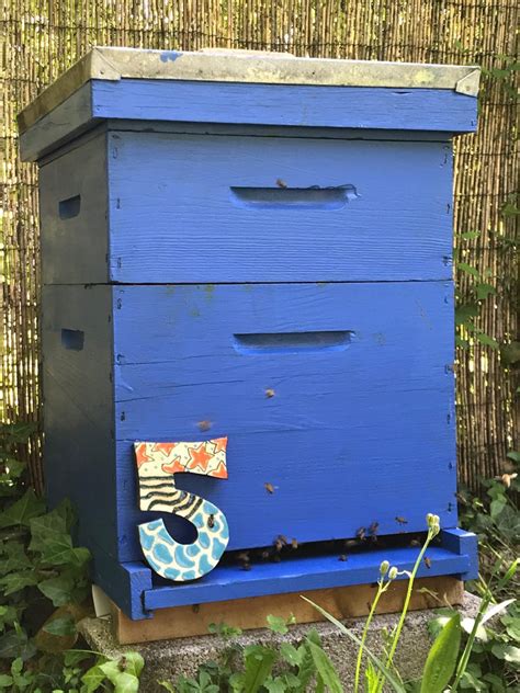 The Case Of Hive 5 Broodminder Europe