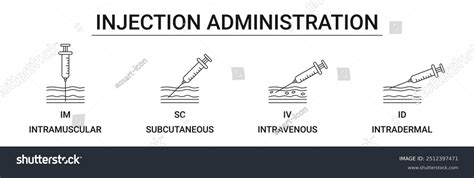 Injection Administration Intravenous Iv Intramuscular Im Stock Vector Royalty Free 2512397471