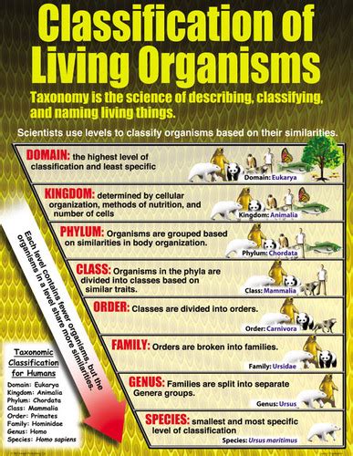 Domain Science Classification