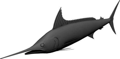 Marlin 3d Model