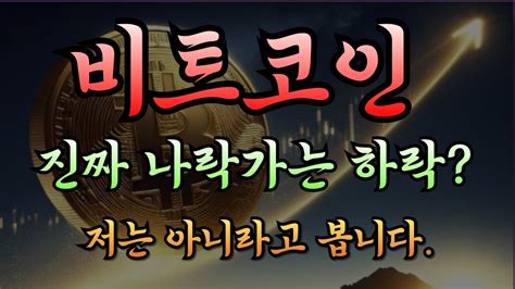 비트코인 과연 나락가는 하락일까요 저는 아니라고 봅니다 Youtube