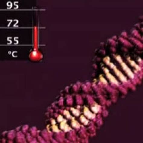 Rna Interference Rna Interference