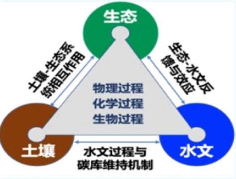 山区河流生态保护与系统治理 四川大学山区河流保护与治理全国重点实验室