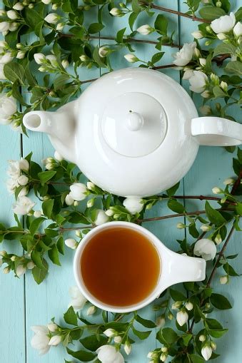 흰색 컵 흰 찻주전자와 자스민의 나뭇가지에 있는 자스민 차는 파란 나무 배경에 있습니다 유기농 천연 허브 바이오 티 재스민 차에 대한 스톡 사진 및 기타 이미지 Istock