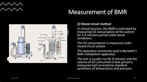 Basal Metabolic Rate Bmr Factors Affecting Bmr Measurement And