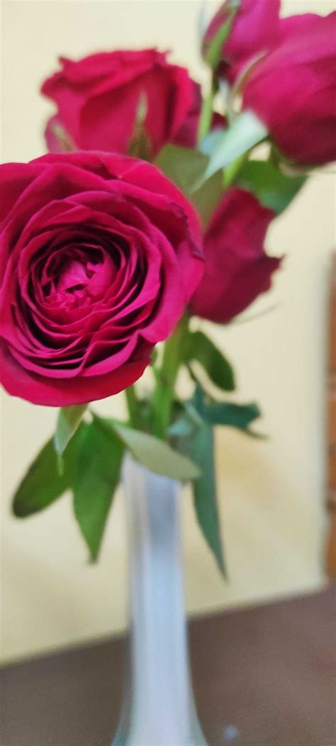 Shilpa Thakur On Linkedin Team Birthdaycelebration Frugaltesting