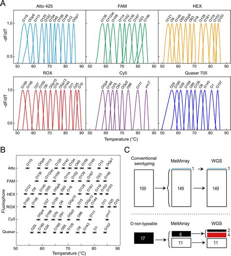 Highly Multiplex Pcr Assays By Coupling The 5′ Flap Endonuclease Activity Of Taq Dna Polymerase