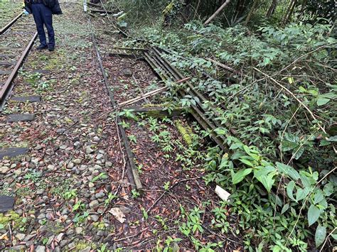 離譜阿里山鐵路汰換鐵軌竟被偷 賊衝山區搬220公斤鋼軌變賣被抓包