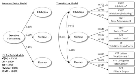 Depicting Cfa Of Both Three Factor And Higher Order Ef Model Download Scientific Diagram