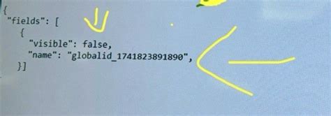 Map Layer Failed To Load 3047 Duplicate Field Esri Community