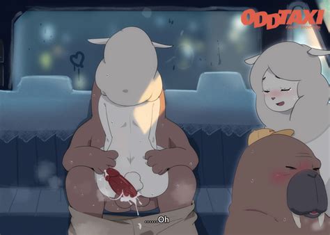 Rule 34 2021 7oy7iger After Sex Alpaca Anthro Balls Blush Bodily Fluids Brown Body Camelid Car