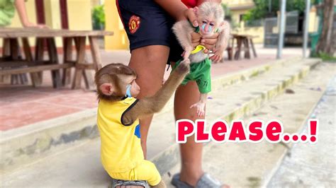 Pipi Shouted Please Dont Take My Titi Youtube